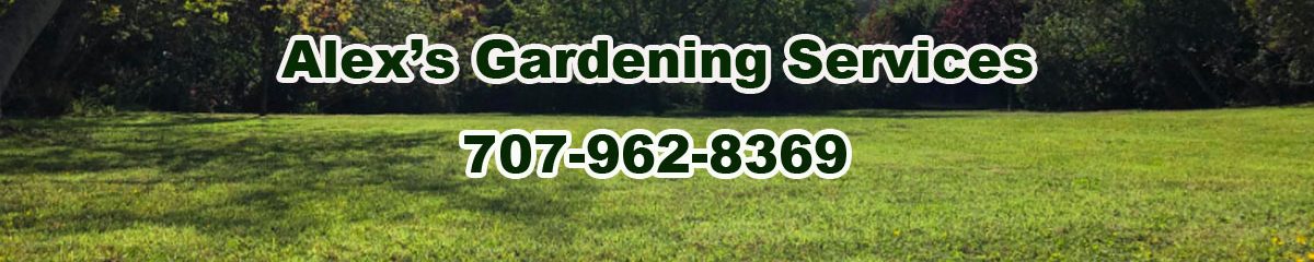 Commercial Landscaping Services in Mendocino County | Commercial ...